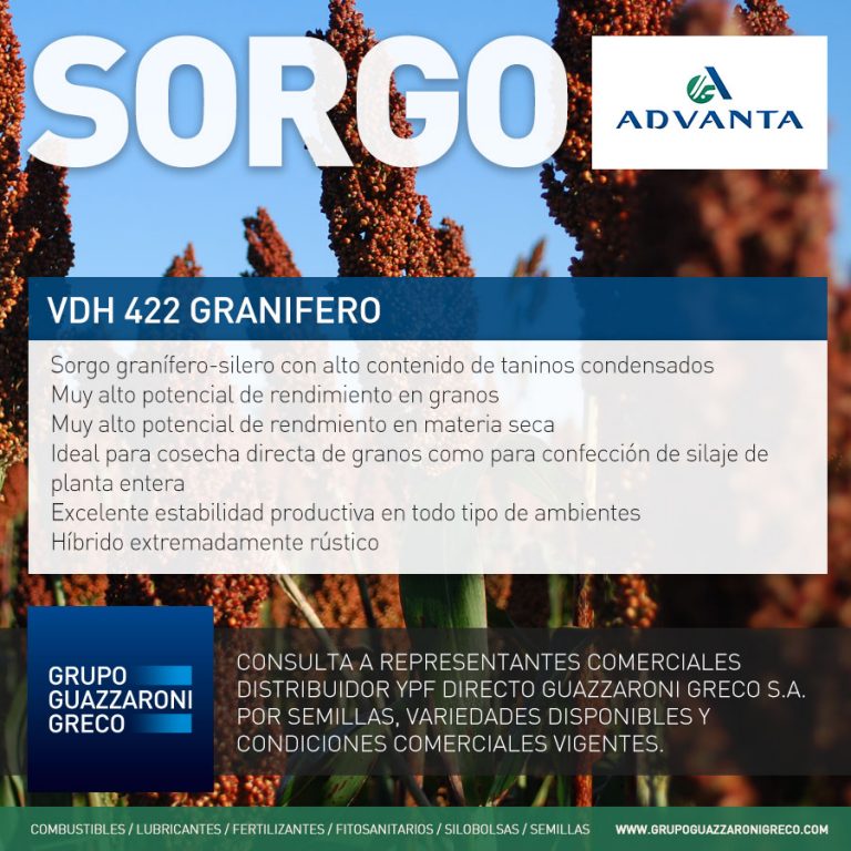 ADVANTA-SORGO-GRANIFERO | Grupo Guazzaroni Greco